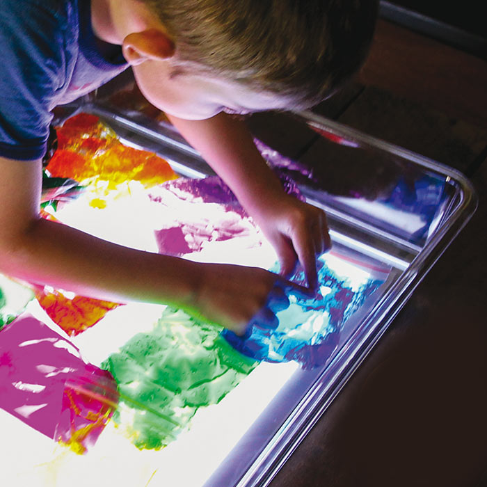 e4e - A3 Light Panel & Exploration Tray