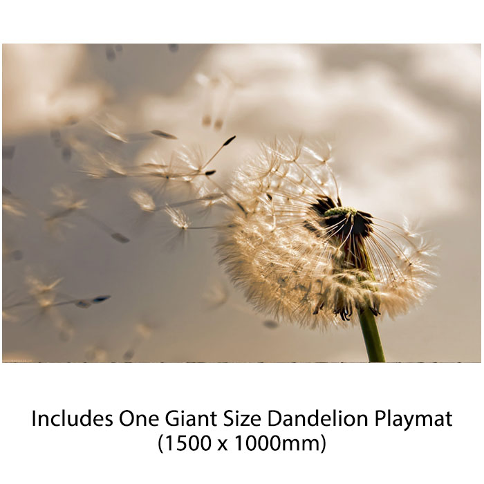 e4e - Air Reading Corner