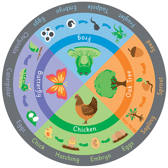 e4e - Back To Nature Life Cycles Carpet - 2m Diameter